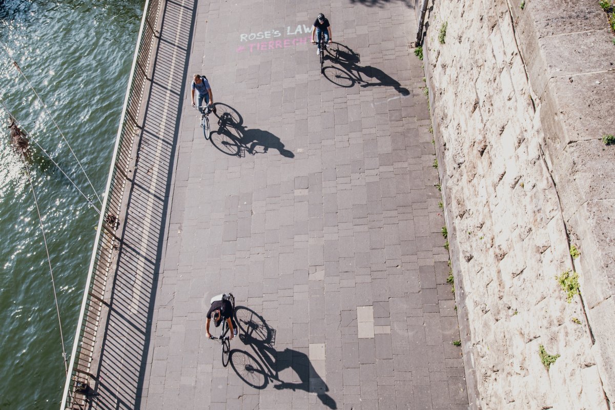 Multi-Modal Services Make Stronger Mobility Ecosystems Multi-Modal Services Make Stronger Mobility Ecosystems